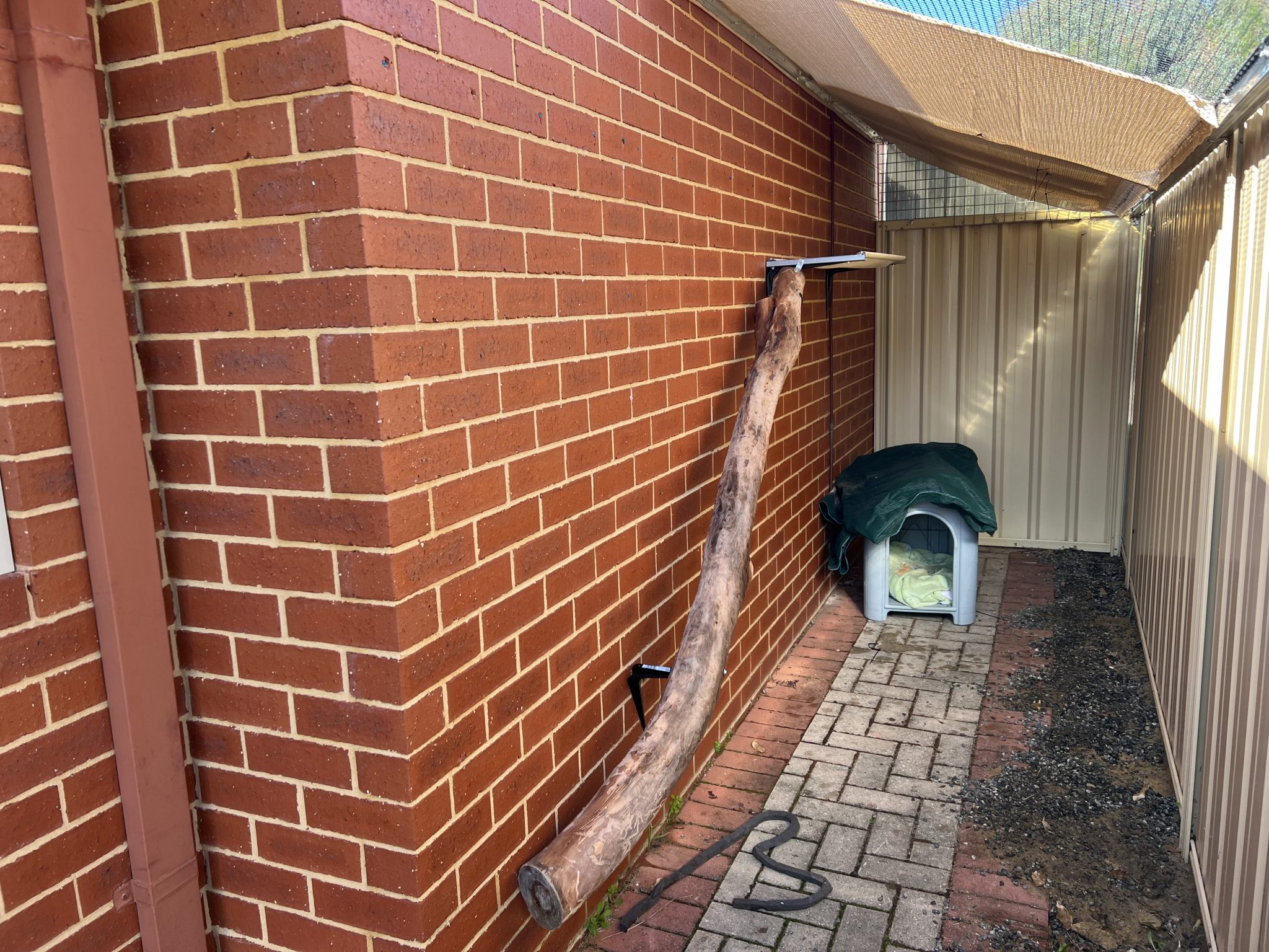 Natural Timber Ramps | Kitty Kingdom