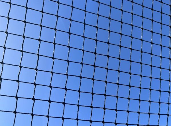 Cat Net Varying Widths | Kitty Kingdom